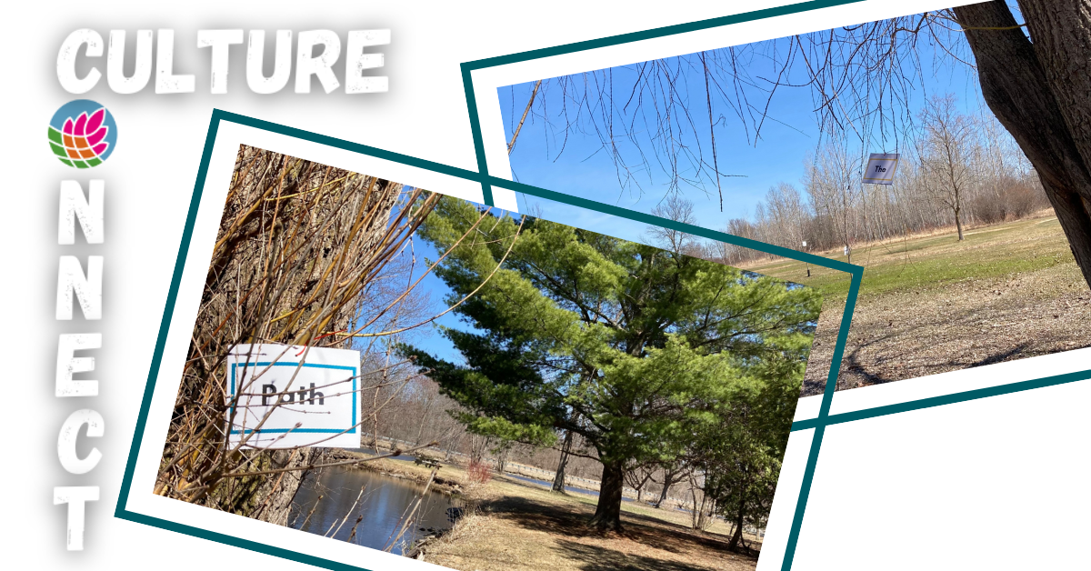 HOME - Perth Union Library | a place for all